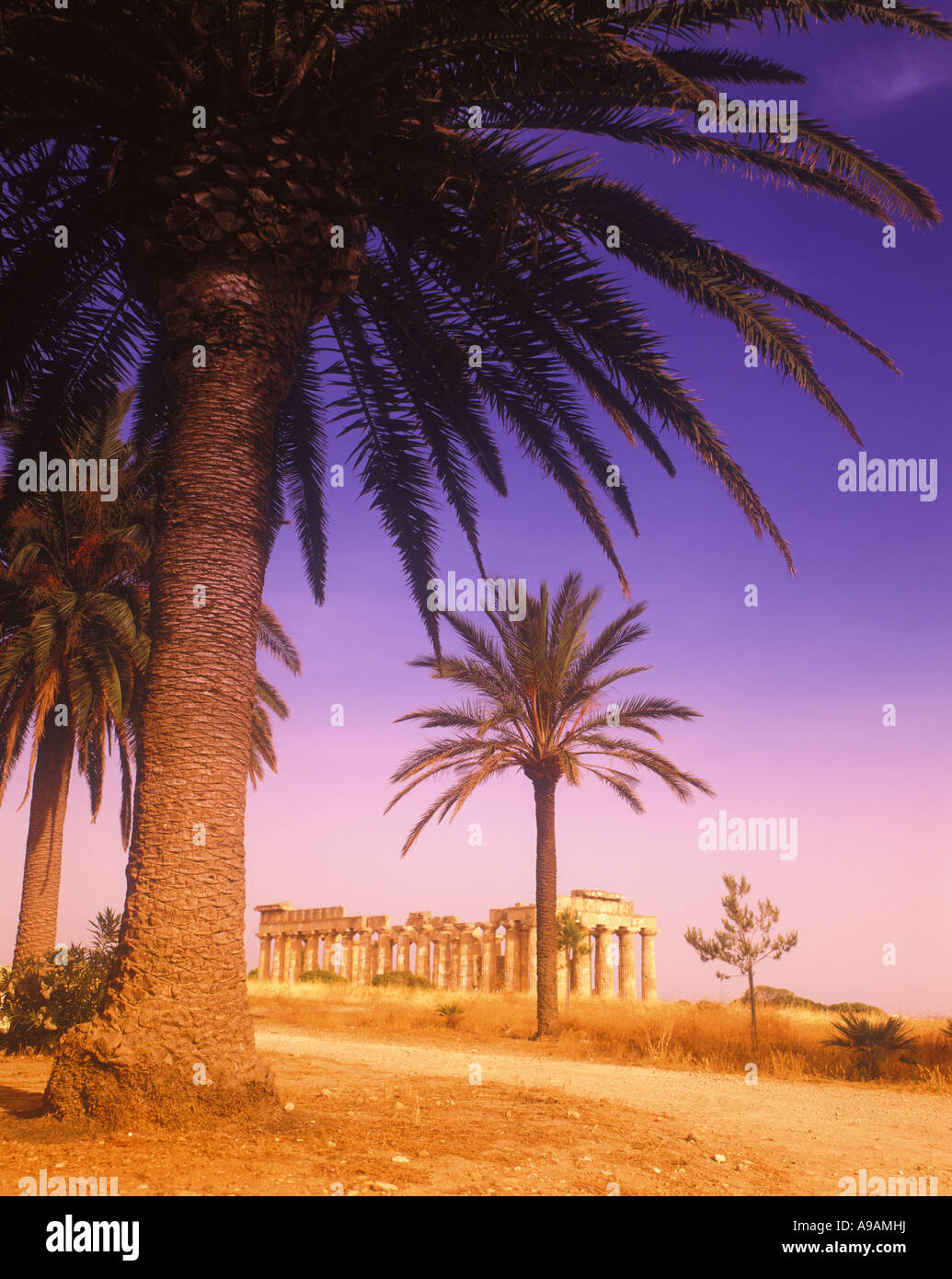 Palm trees greek ruins temple hi-res stock photography and images - Alamy