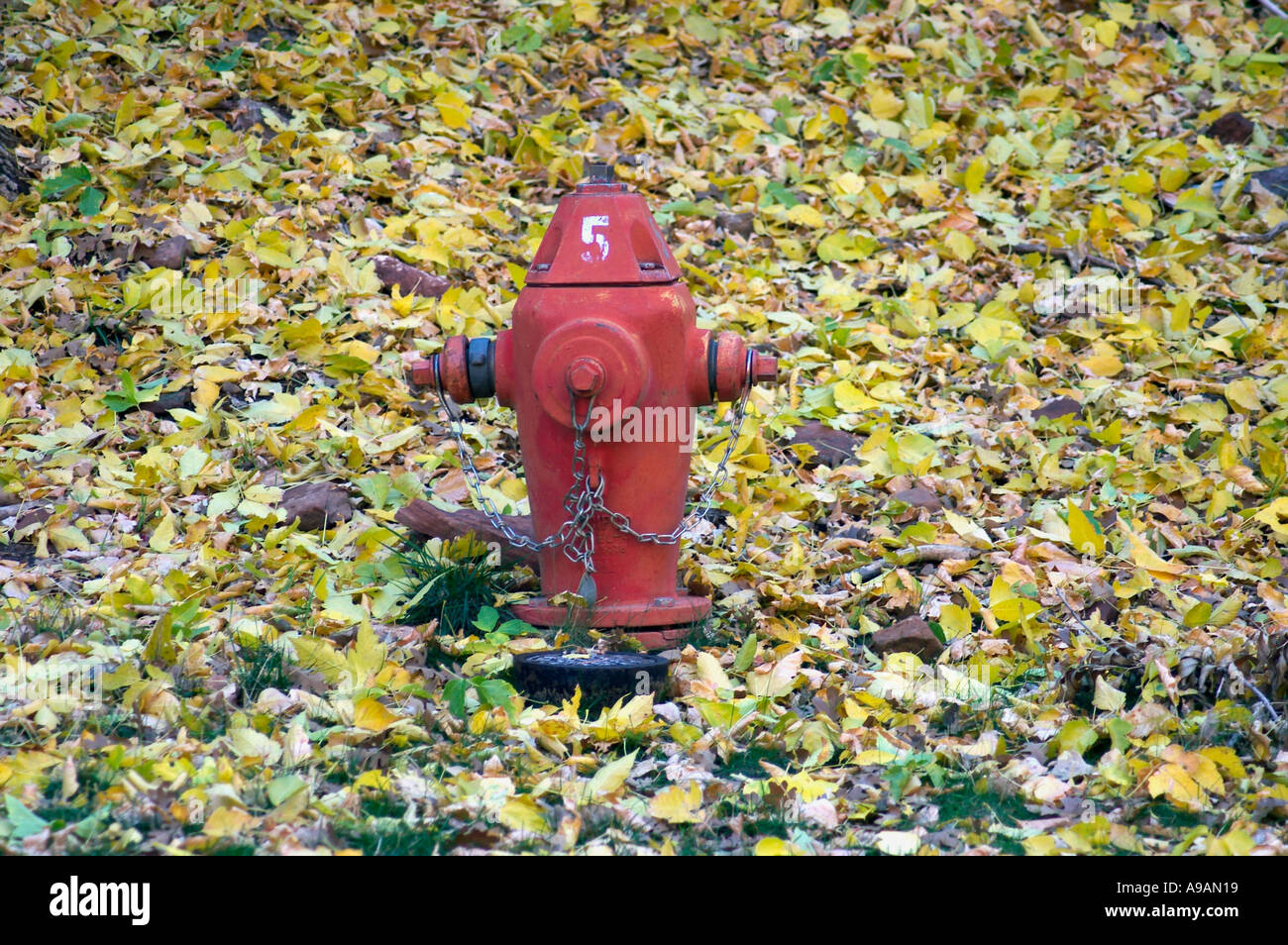 fire hydrant Utah Stock Photo - Alamy