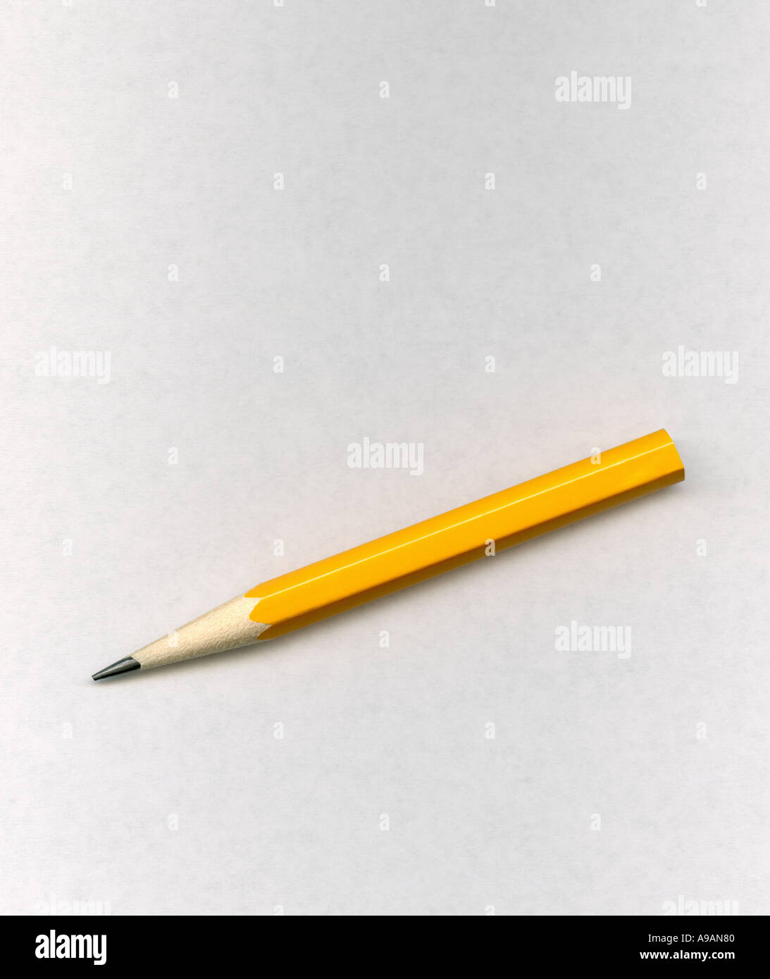 Short pencil on white paper Stock Photo - Alamy
