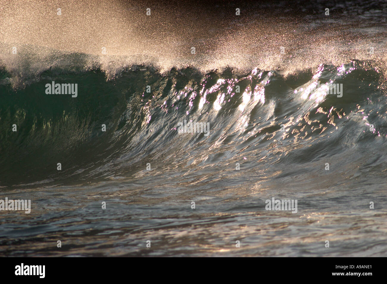 building ocean wave Stock Photo - Alamy