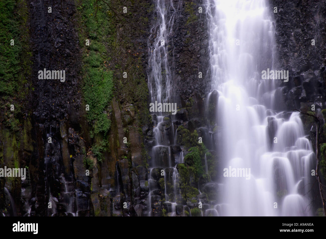 waterfall Costa Rica Stock Photo - Alamy