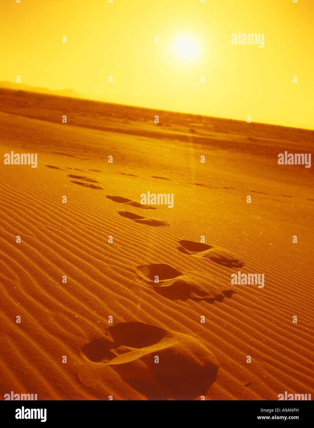 SINGLE LINE OF FOOTSTEPS IN DESERT SAND Stock Photo - Alamy