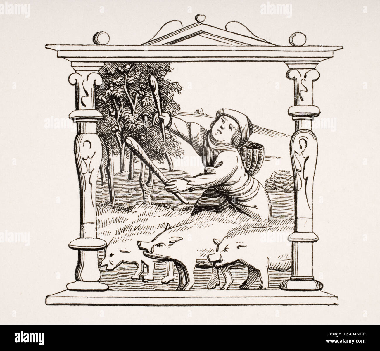 Swineherd with his herd of pigs. 19th century reproduction from a ...