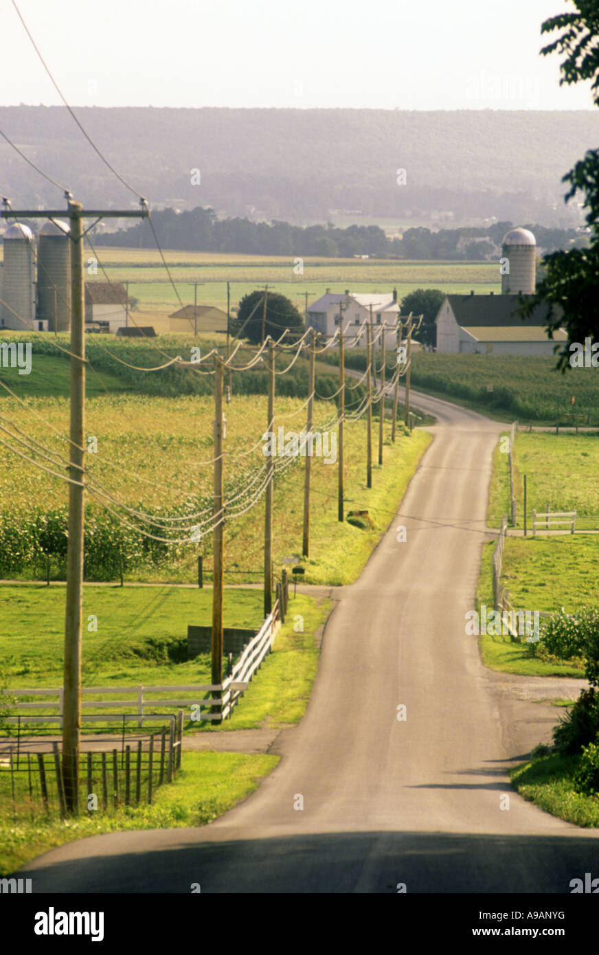 American road telegraph poles hi-res stock photography and images - Alamy