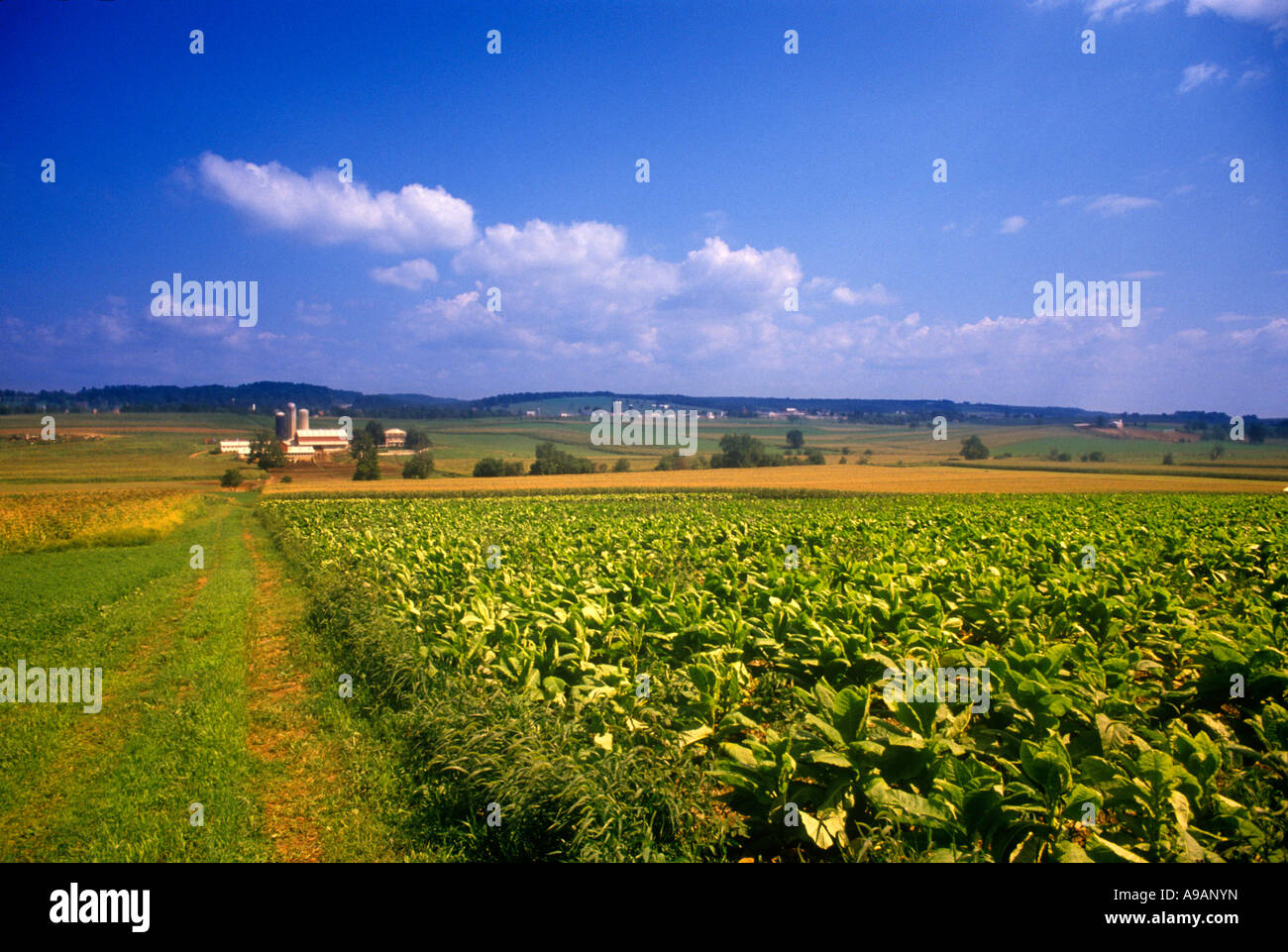 SCENIC FARM LANCASTER COUNTY PENNSYLVANIA USA Stock Photo - Alamy