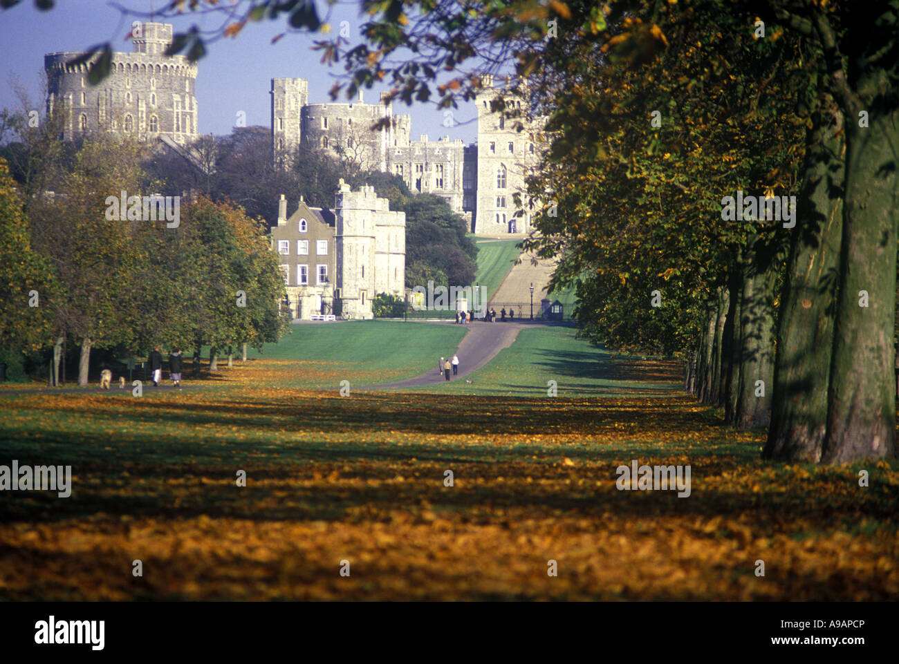 THE LONG WALK WINDSOR CASTLE WINDSOR BERKSHIRE ENGLAND UK Stock Photo ...