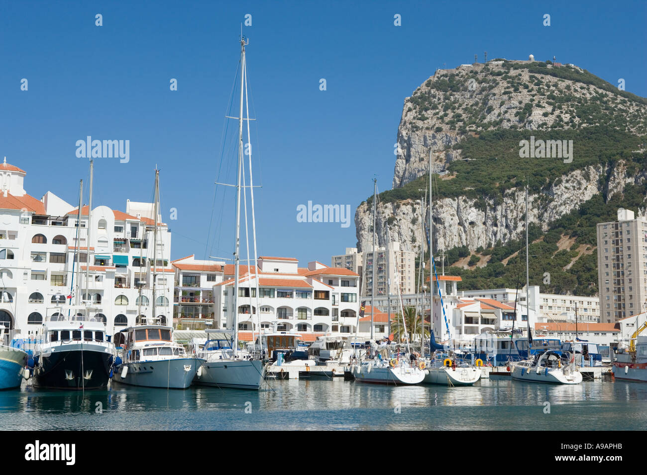 Gibraltar Yachts in Marina Bay with the Rock in background Stock Photo ...