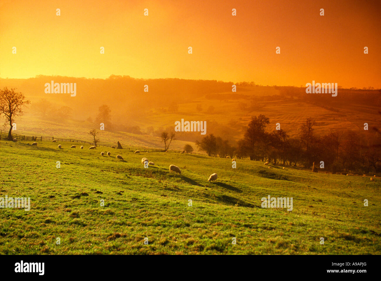 East england landscape hi-res stock photography and images - Alamy