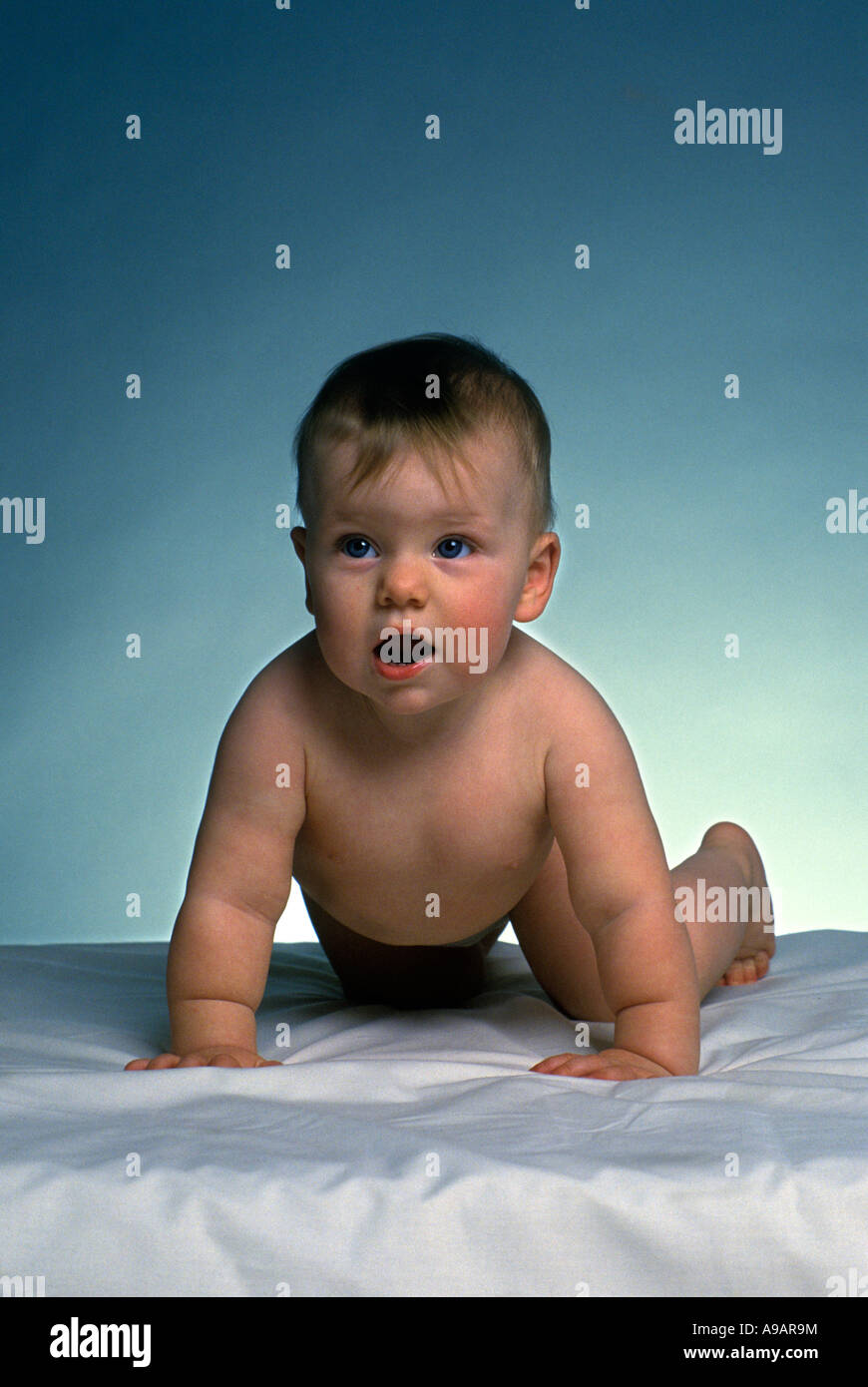 Crawl On All Fours High Resolution Stock Photography and Images - Alamy