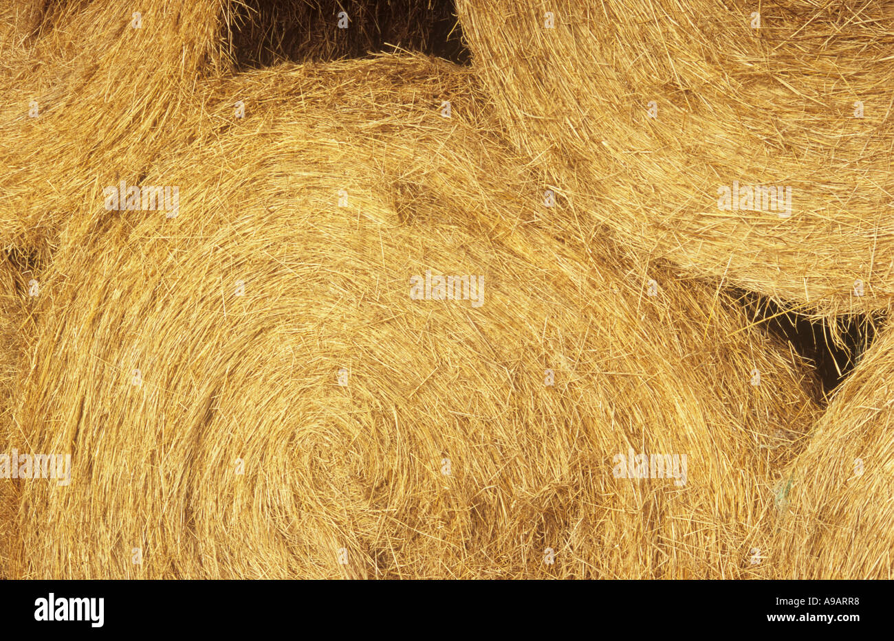 Straw stored in barn hi-res stock photography and images - Alamy
