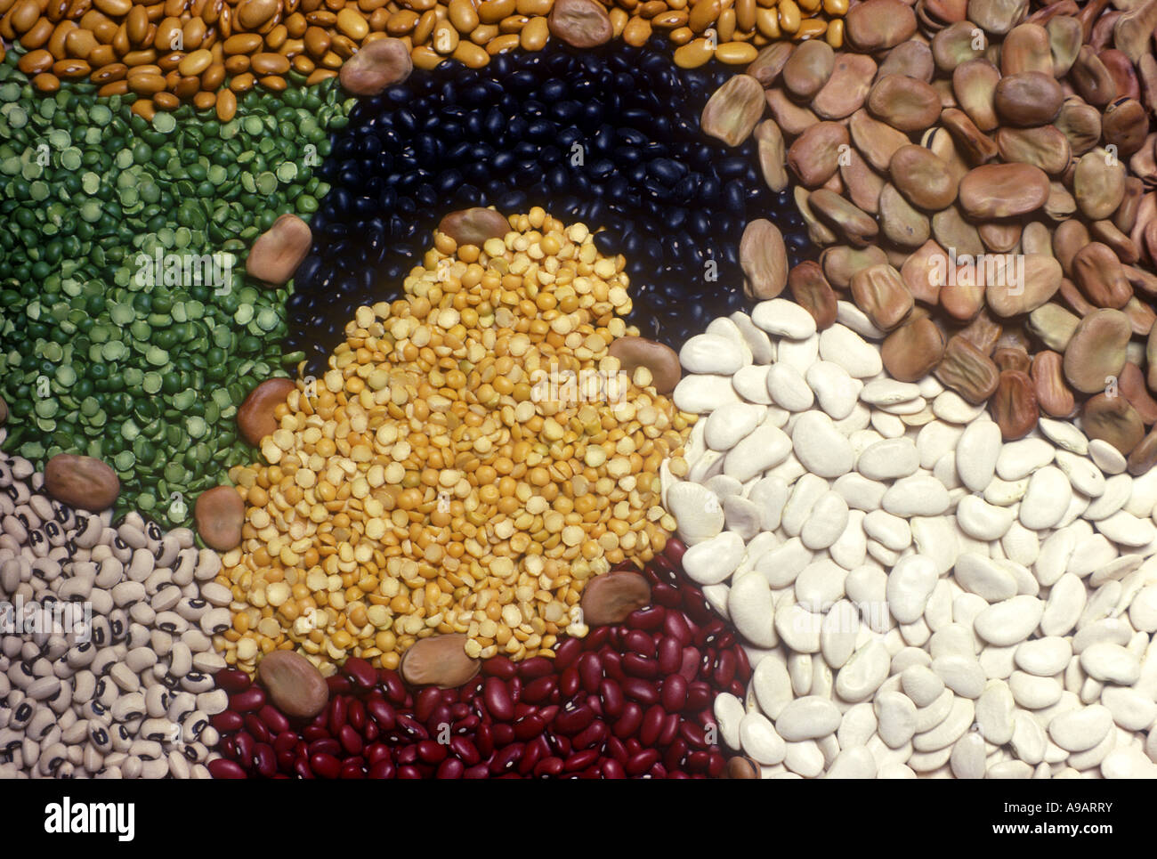 GROUP OF VARIOUS TYPES OF BEANS Stock Photo - Alamy