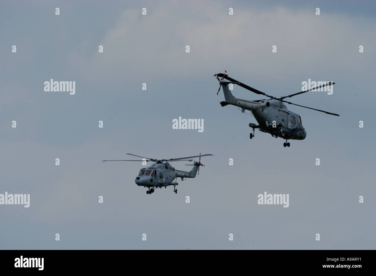 Royal navy black cats hi-res stock photography and images - Alamy