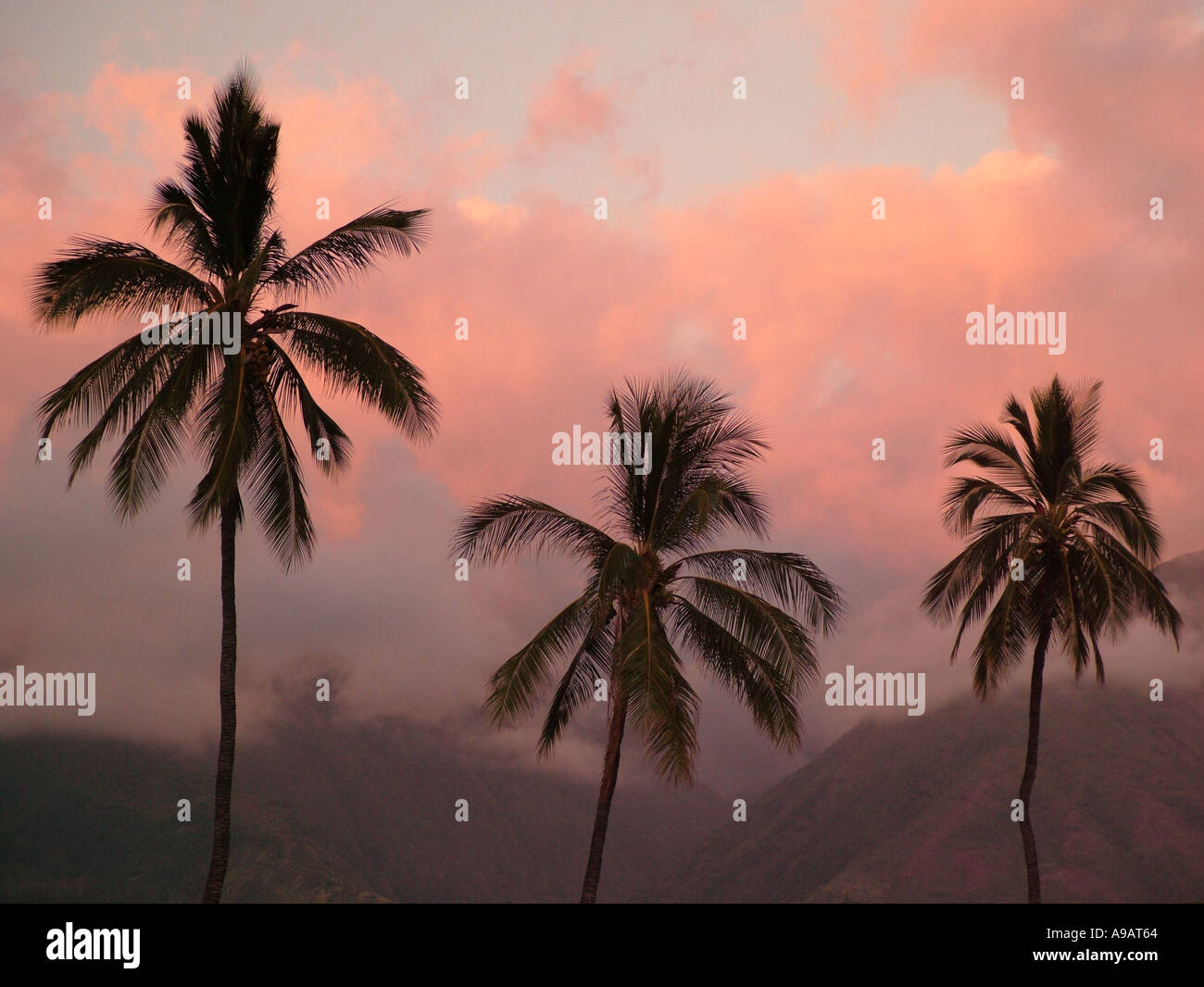 Lahaina west maui mountains hi-res stock photography and images - Alamy