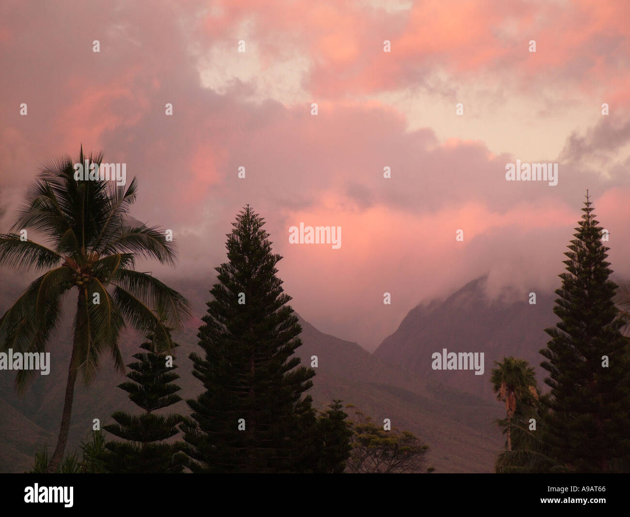 West maui mountains lahaina maui hi-res stock photography and images ...