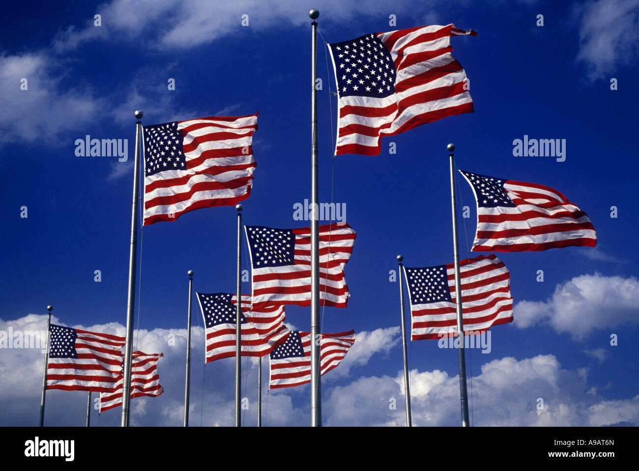 GROUP OF UNITED STATES FLAGS FLYING ON FLAGPOLES Stock Photo - Alamy