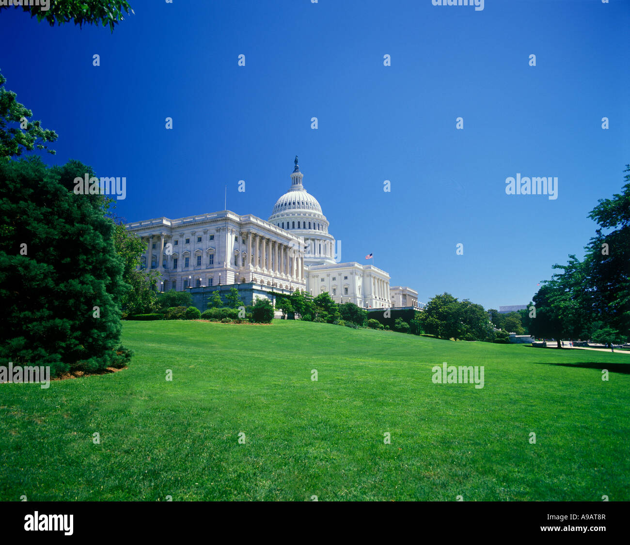 GREEN LAWN WEST OF UNITED STATES CAPITOL BUILDING WASHINGTON DC USA ...