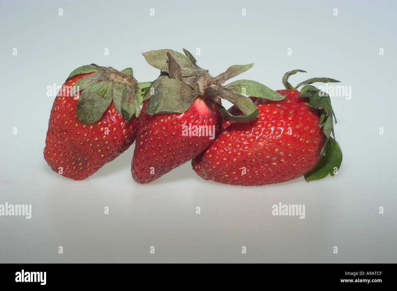 Moldy strawberries hi-res stock photography and images - Alamy