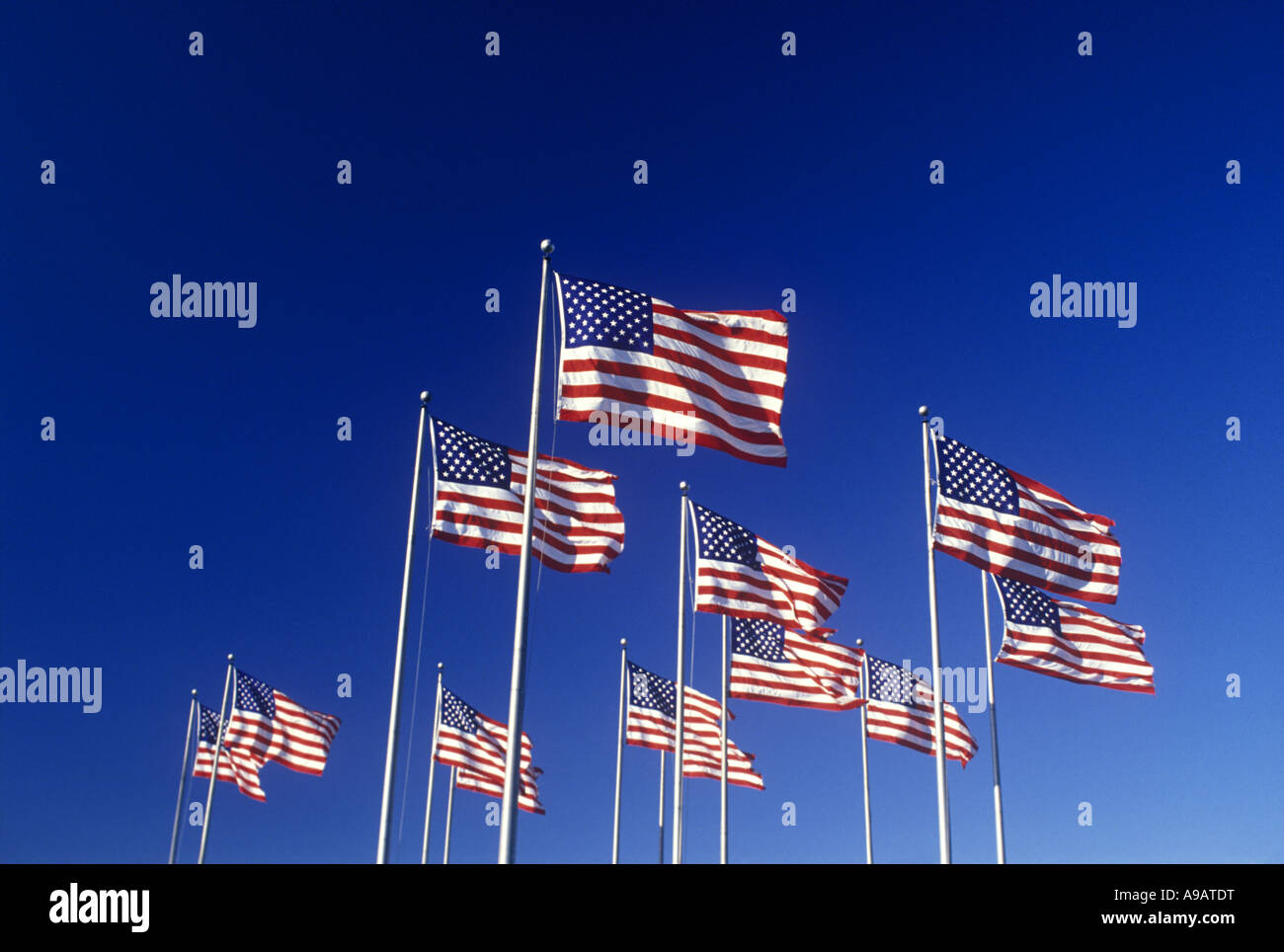 GROUP OF FLAGS OF UNITED STATES OF AMERICA FLYING ON FLAGPOLES WITH ...