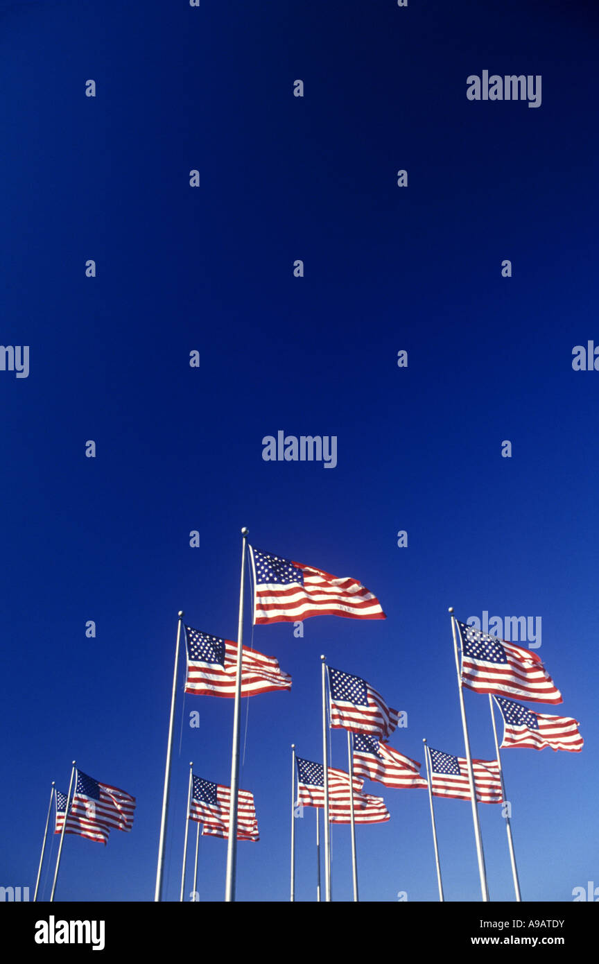 GROUP OF FLAGS OF UNITED STATES OF AMERICA FLYING ON FLAGPOLES WITH ...