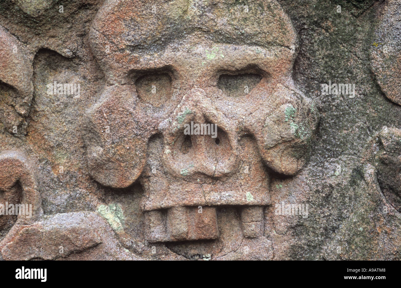Close up of a human skull with some missing teeth carved into a ...
