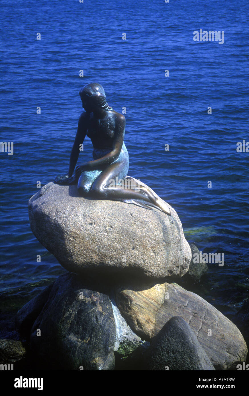LITTLE MERMAID BRONZE SCULPTURE (©EDVARD ERIKSEN 1913) LANGELINIE PROMENADE COPENHAGEN DENMARK ...