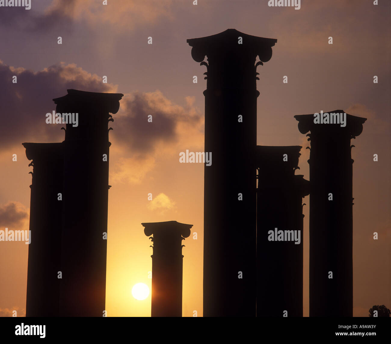 CORINTHIAN STYLE COLUMNS Stock Photo - Alamy