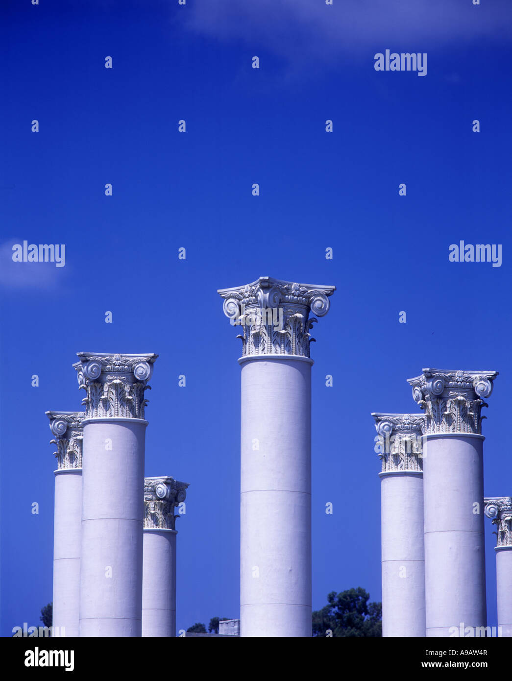 CORINTHIAN STYLE COLUMNS Stock Photo - Alamy