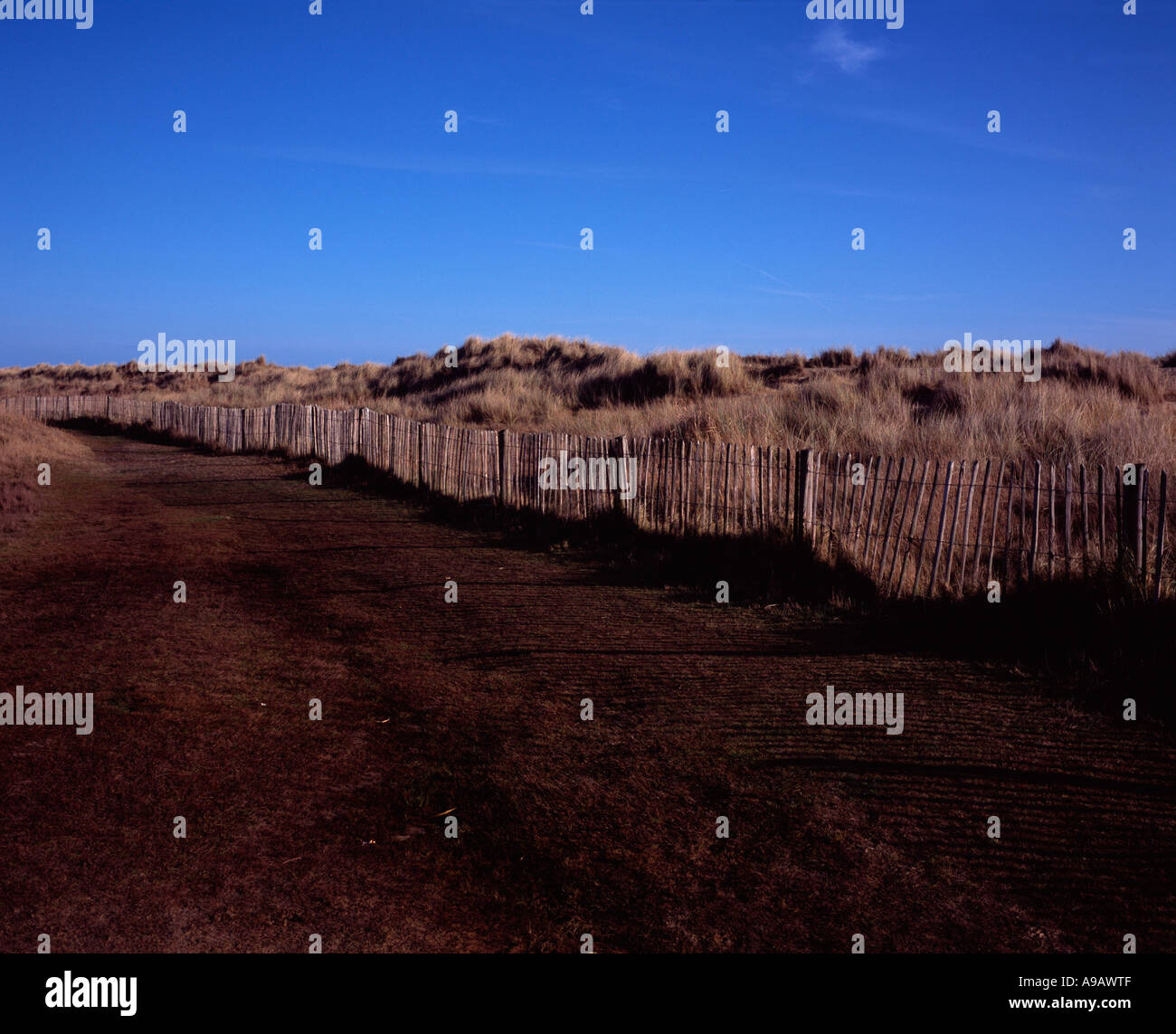 Where the sand dunes meet the marshes, Walberswick, Suffolk, UK Stock ...