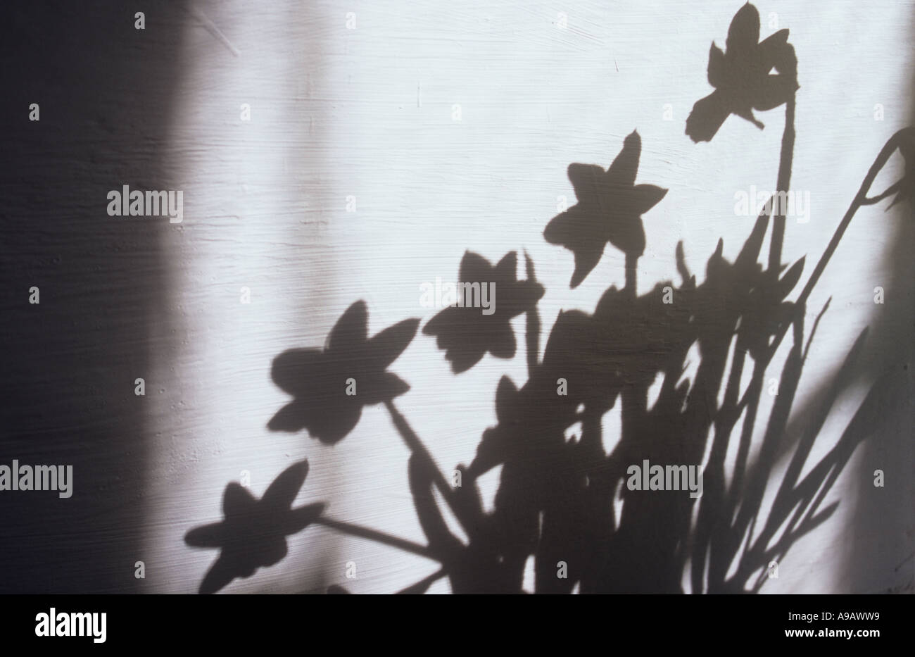 Wall with cast shadow patterns hi-res stock photography and images - Alamy