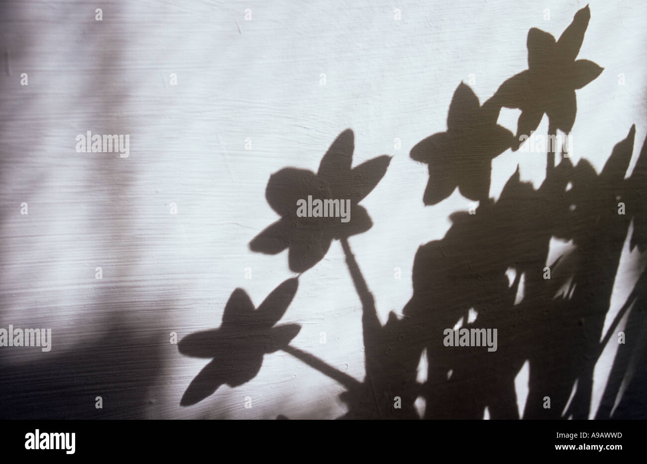 Wall with cast shadow patterns hi-res stock photography and images - Alamy