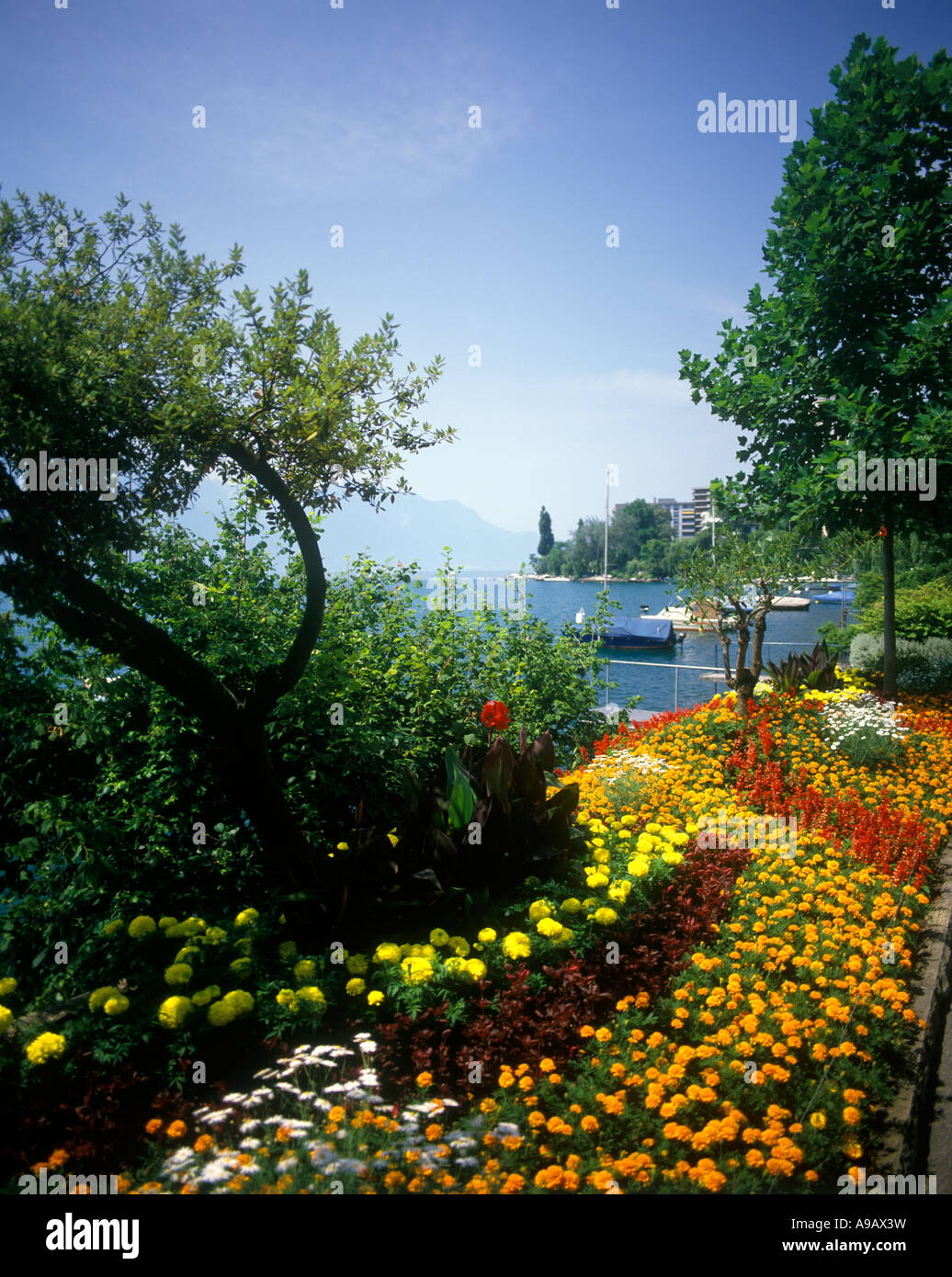 LAKESIDE PROMENADE MONTREUX LAKE GENEVA VAUD SWITZERLAND Stock Photo ...