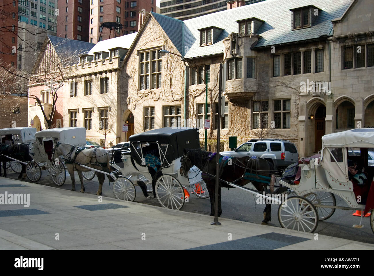 Chicago horse carriage hi-res stock photography and images - Alamy