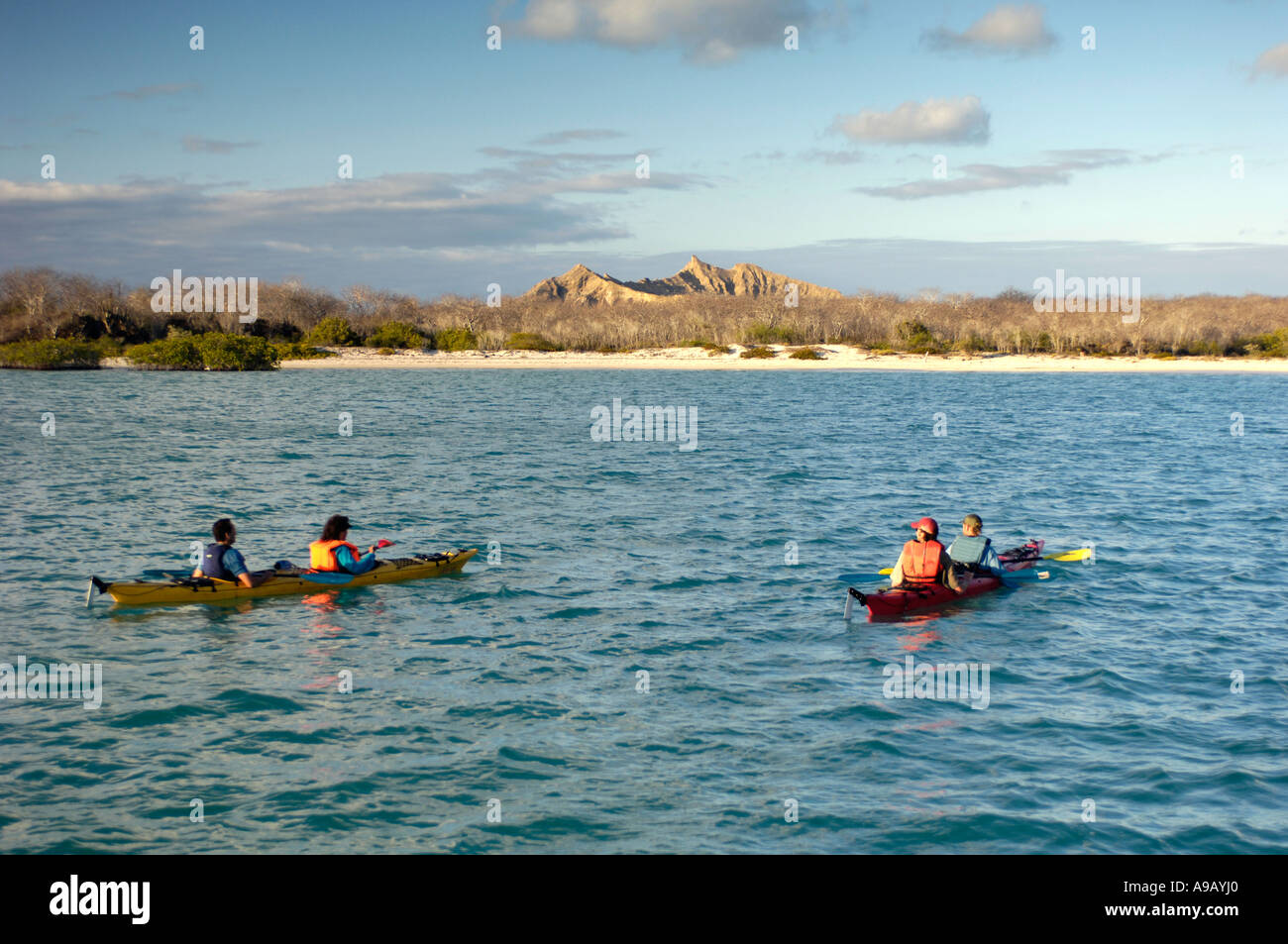 Latin America South America Ecuador Galapagos Islands San Cristobal ...