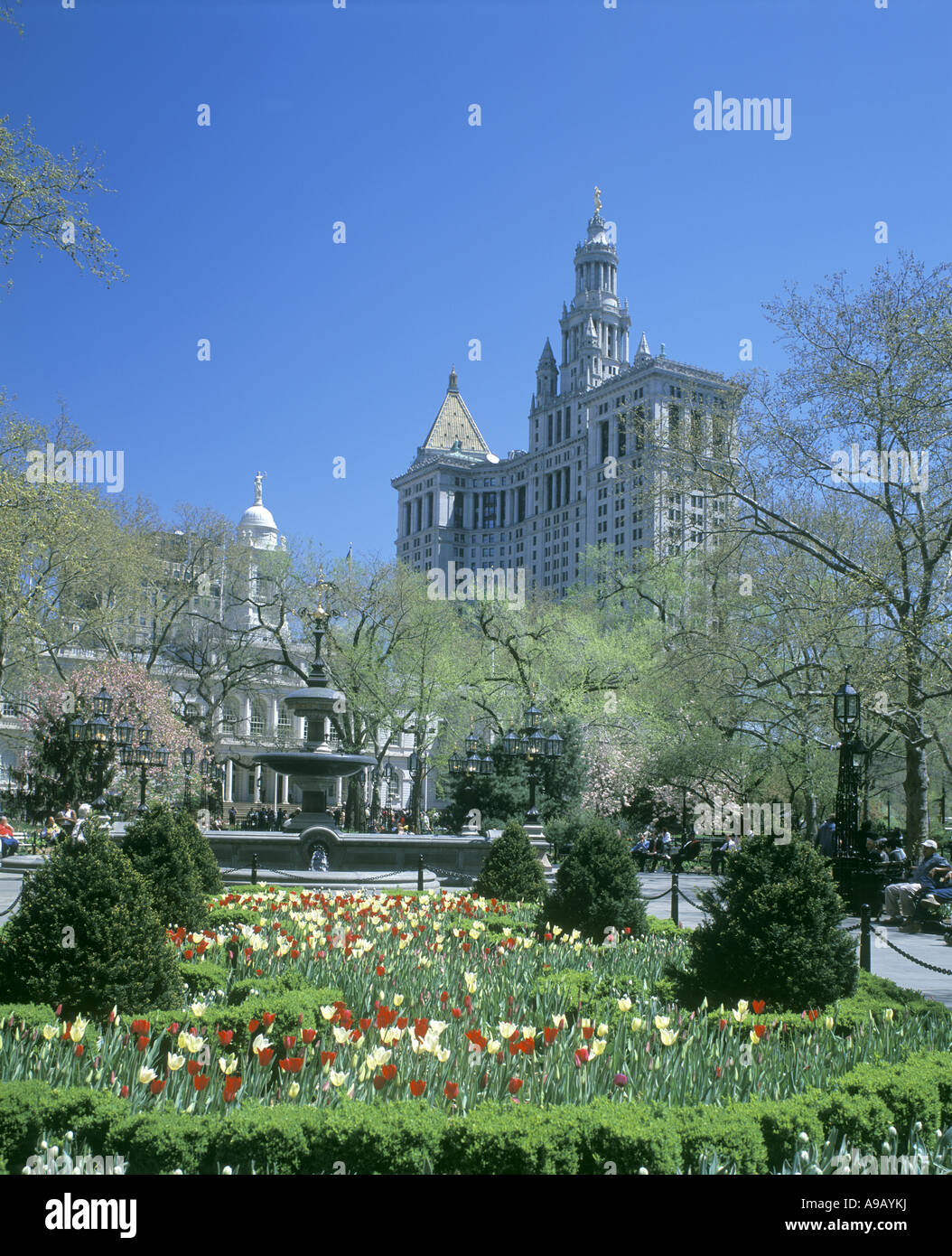 SPRING BLOSSOMS CITY HALL PARK MANHATTAN NEW YORK CITY USA Stock Photo ...