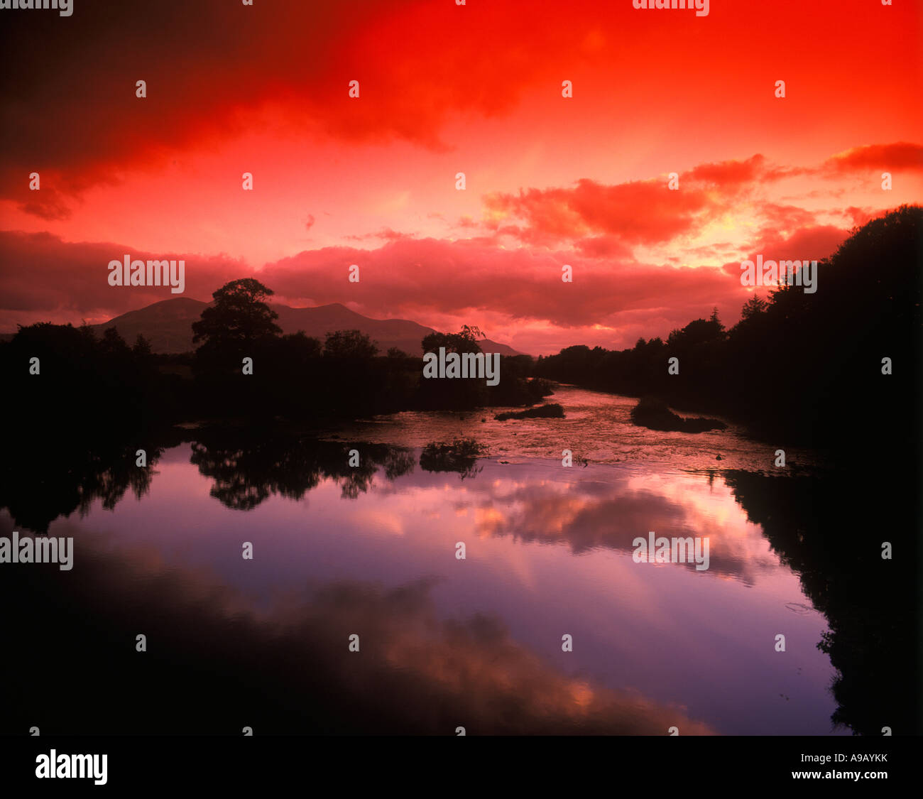 Flesk hi-res stock photography and images - Alamy