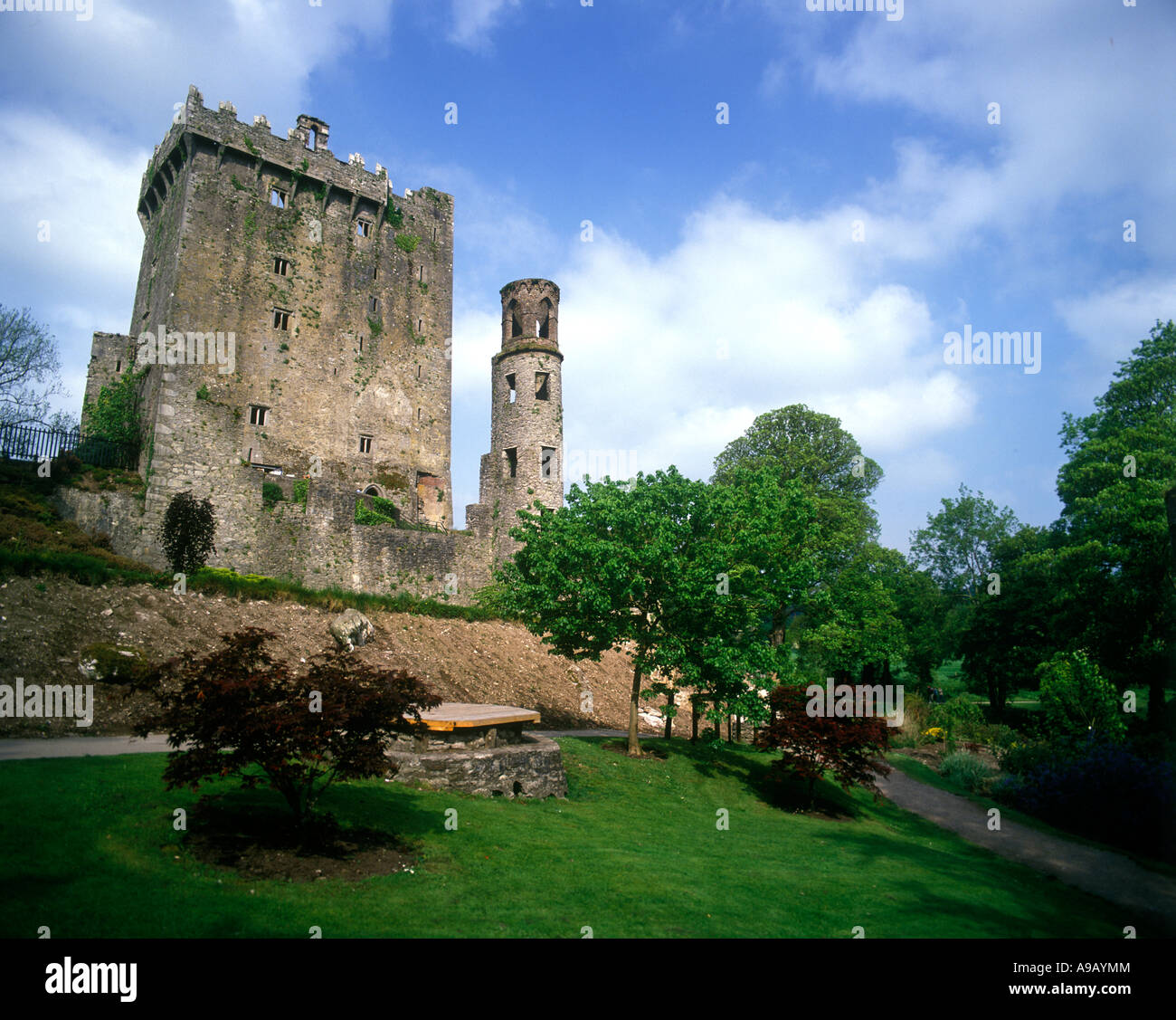 KEEP AND TOWER BLARNEY CASTLE RUINS BLARNEY COUNTY CORK IRELAND Stock ...