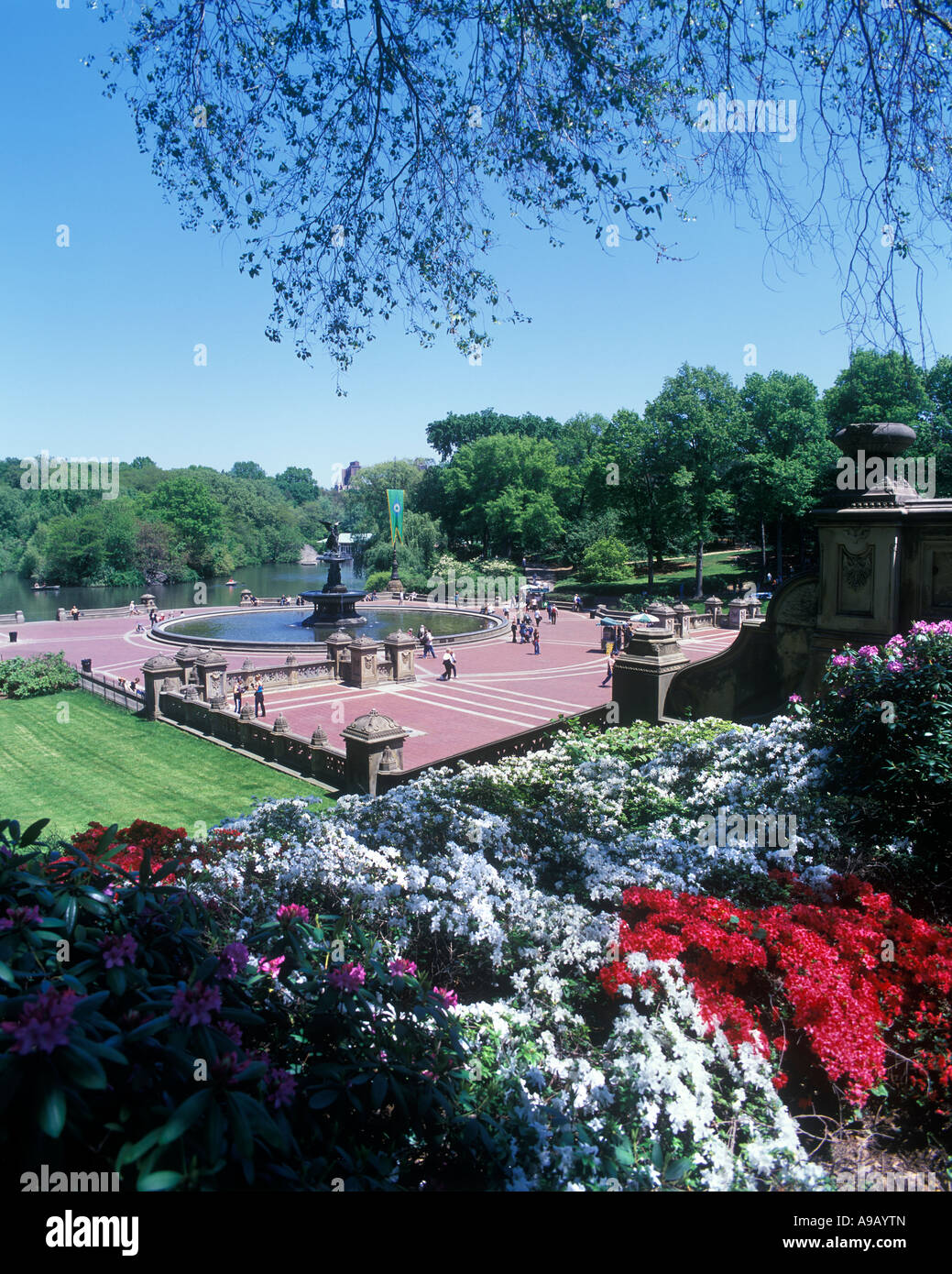 ANGEL OF THE WATERS FOUNTAIN (©EMMA STEBBINS 1868) BETHESDA TERRACE ...