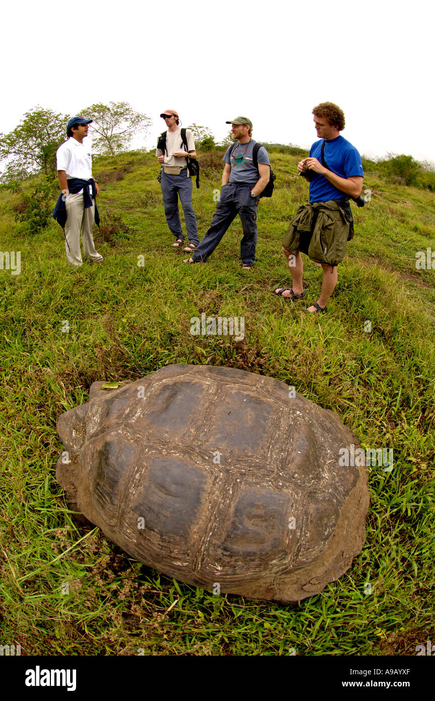 South America Latin America Ecuador Galapagos Islands Santa Cruz Island ...