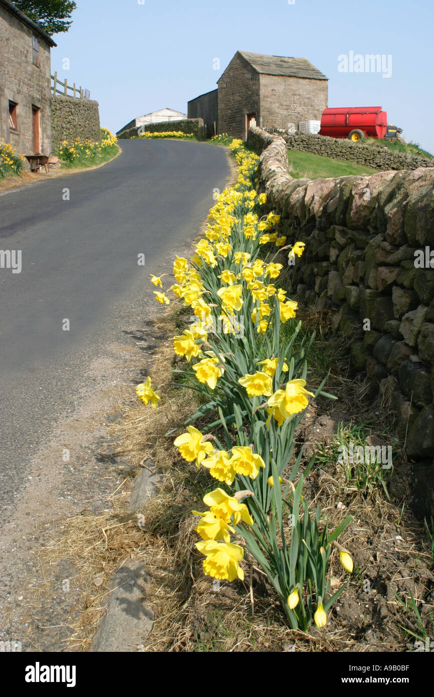 Gradbach hi-res stock photography and images - Alamy
