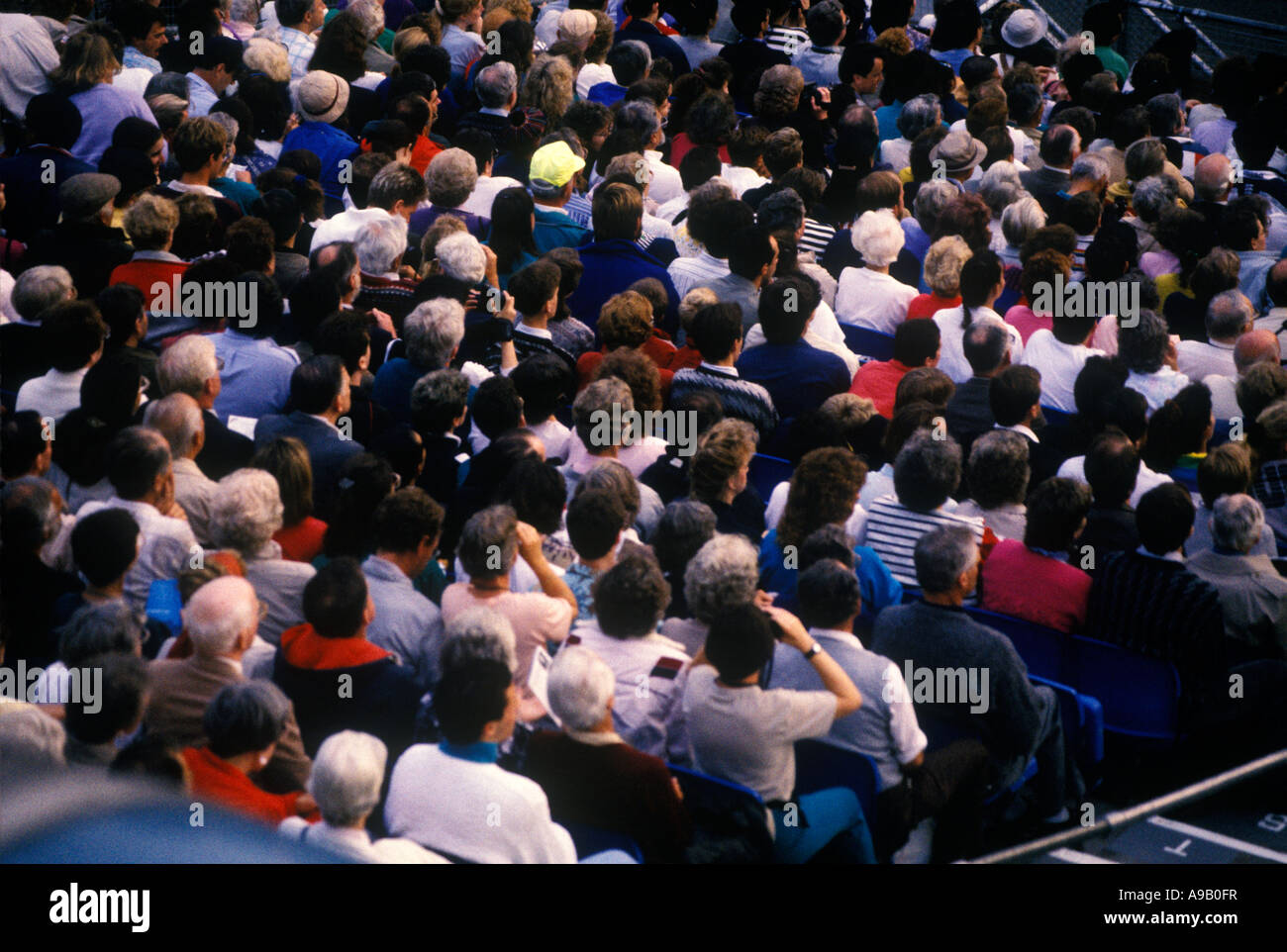 BACK OF HEADS OF CROWD SITTING Stock Photo - Alamy