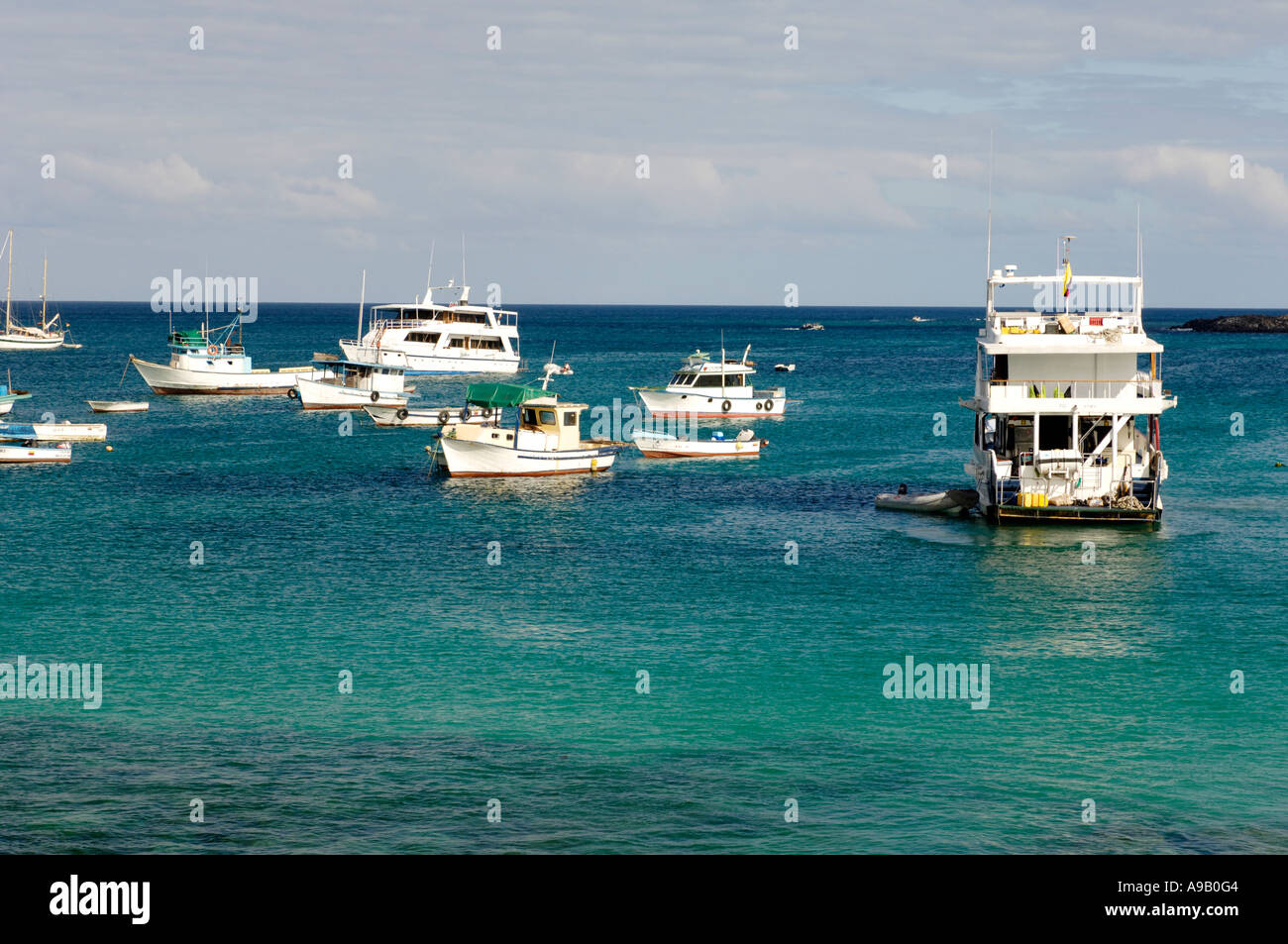 Latin America South America Ecuador Galapagos Islands San Cristobal ...