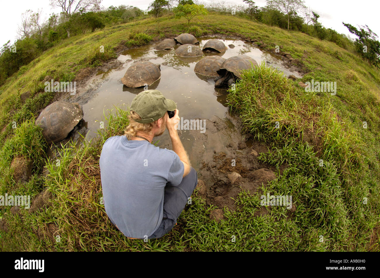 South America Latin America Ecuador Galapagos Islands Santa Cruz Island ...