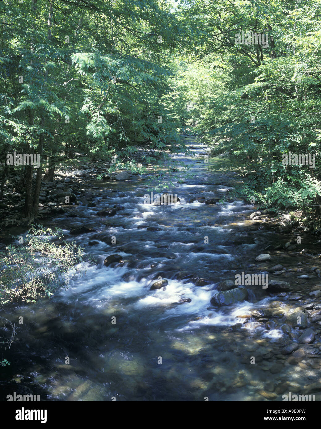 WEST LITTLE PIGEON RIVER GREAT SMOKY MOUNTAINS NATIONAL PARK TENNESSEE ...