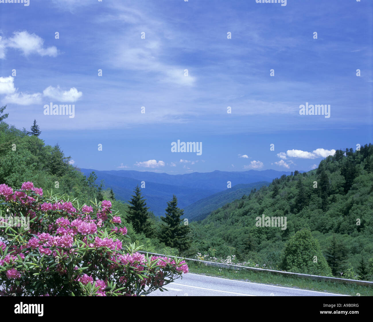 NEWFOUND GAP ROAD GREAT SMOKY MOUNTAINS NATIONAL PARK TENNESSEE USA ...