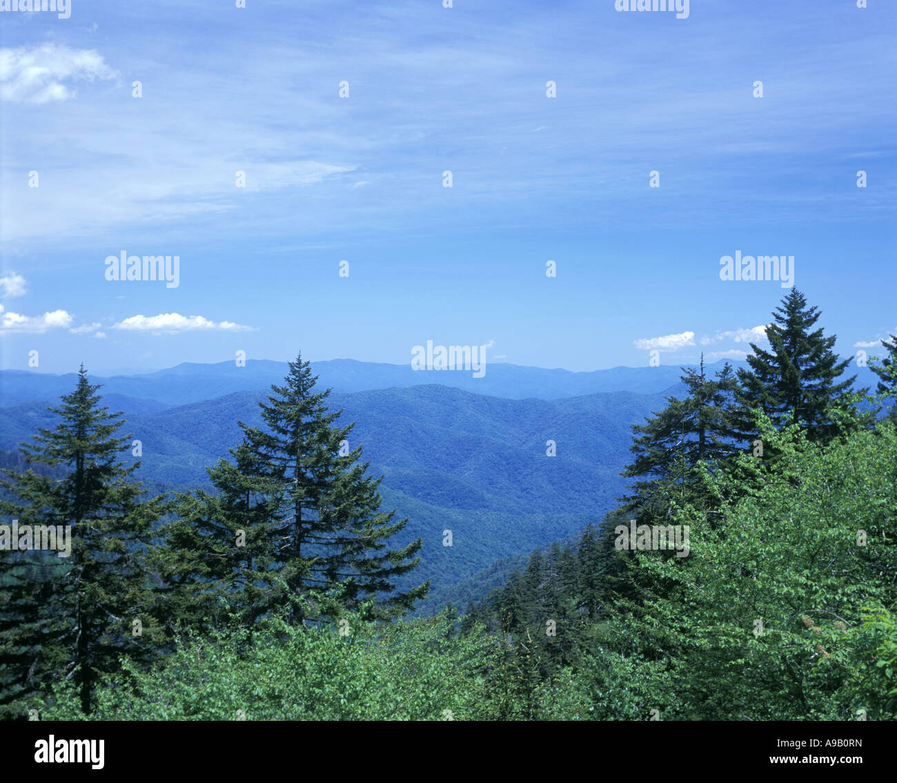 NEWFOUND GAP VISTA GREAT SMOKY MOUNTAINS NATIONAL PARK TENNESSEE USA ...