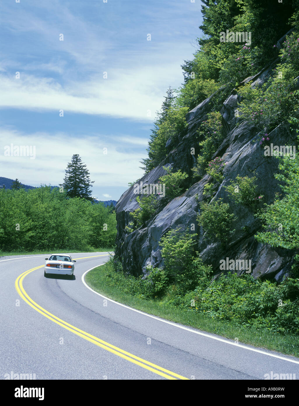 CAR AUTO NEWFOUND GAP ROAD GREAT SMOKY MOUNTAINS NATIONAL PARK ...