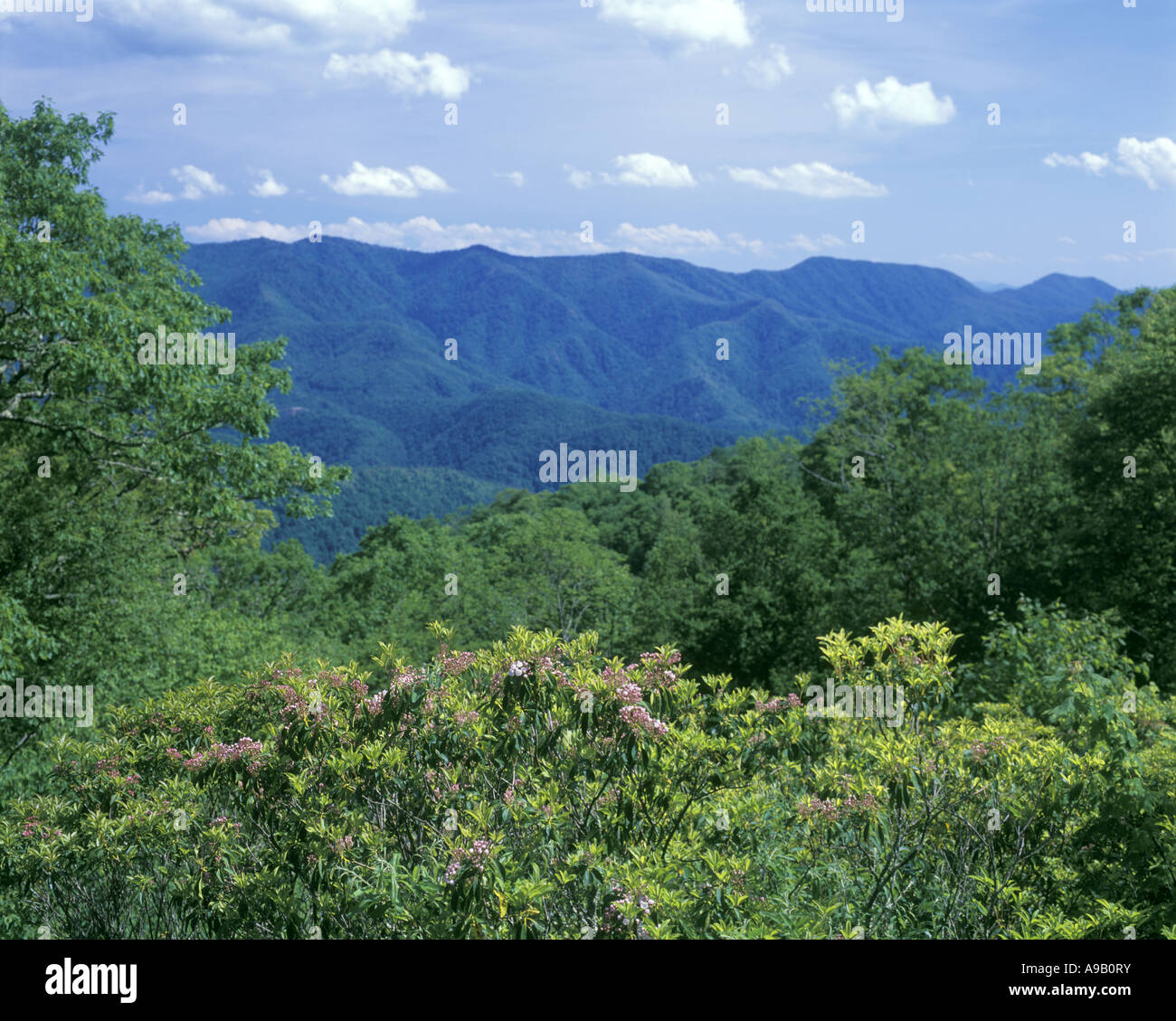 Wolf ridge north carolina hi-res stock photography and images - Alamy