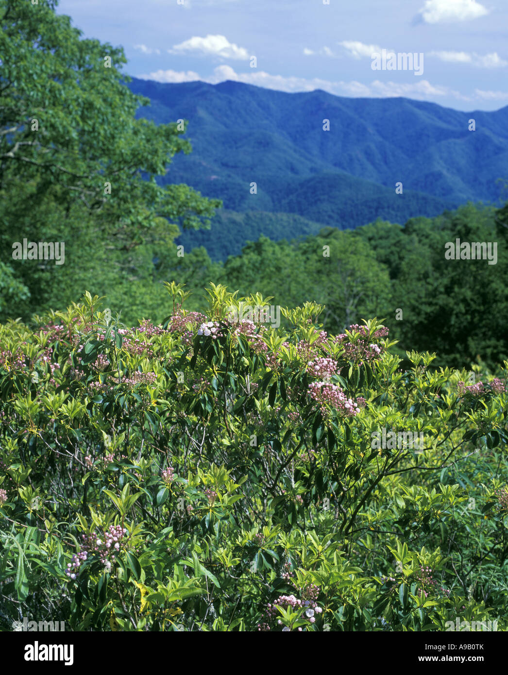 Wolf ridge north carolina hi-res stock photography and images - Alamy