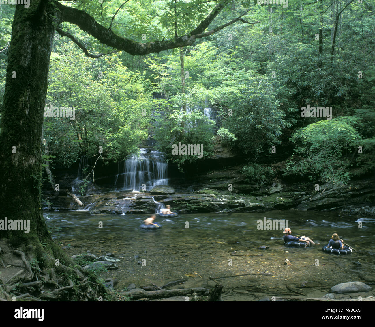 TUBING TOM BRANCH FALLS DEEP CREEK GREAT SMOKY MOUNTAINS PARK NORTH ...