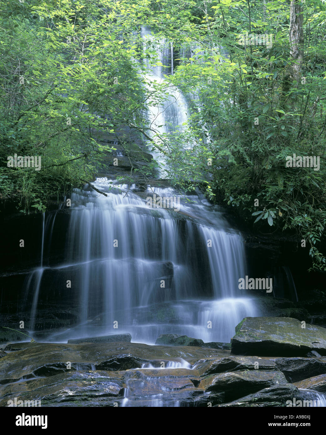 TOM BRANCH WATERFALL DEEP CREEK GREAT SMOKY MOUNTAINS NATIONAL PARK ...